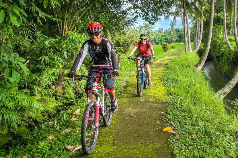 Homepage - Sai Bali Tours